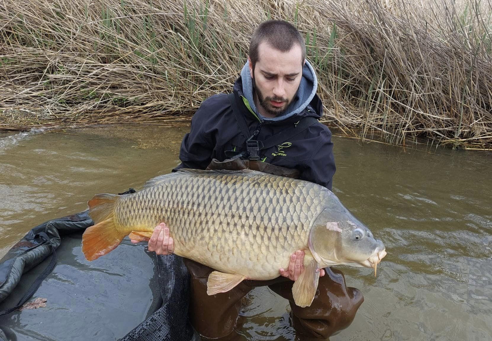 Pêche de sauvetage EXCEPTIONNELLE en aval du barrage de la Liez ...